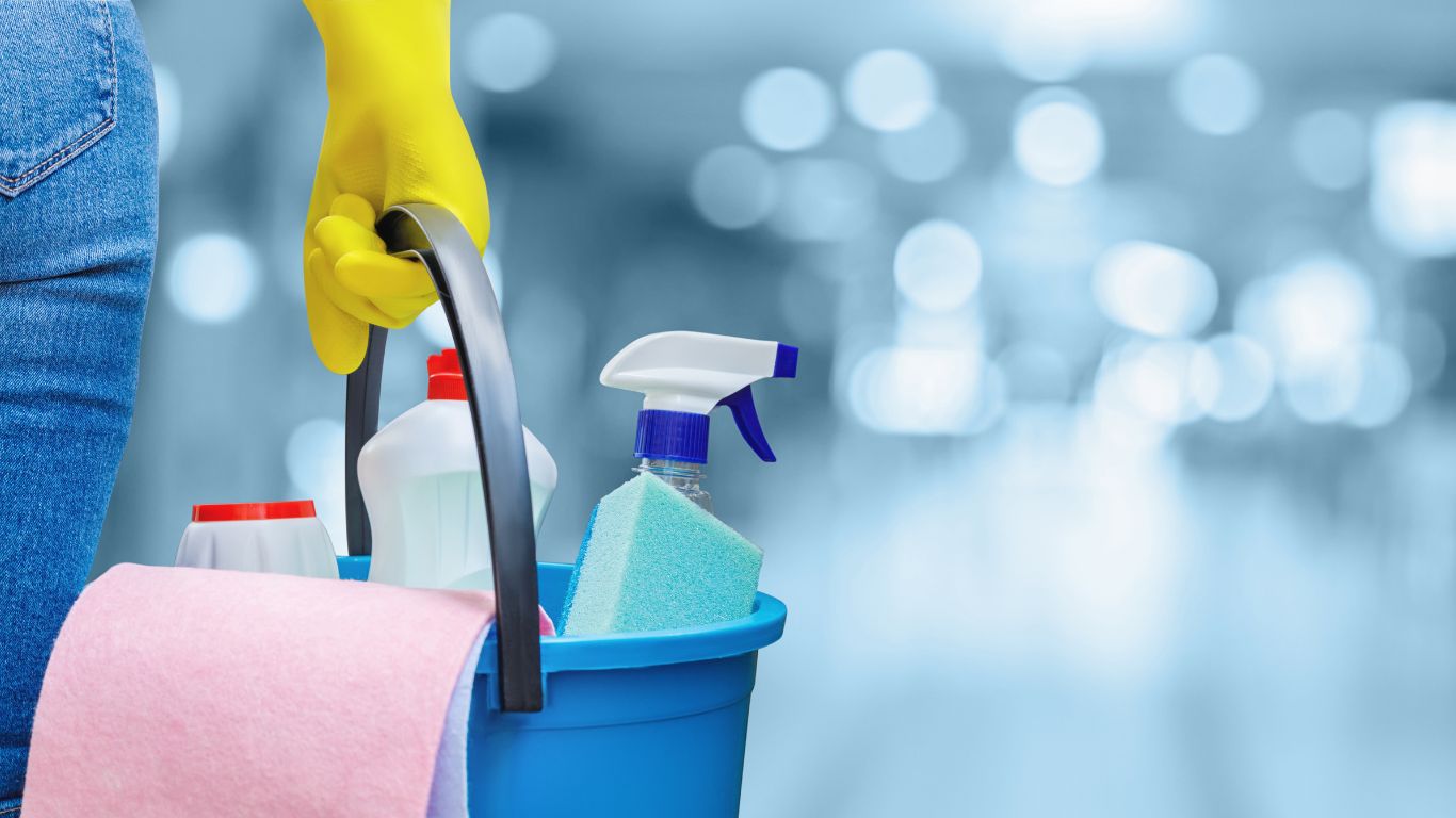 How to Hire The Best Professional House Cleaning Services in San ...
